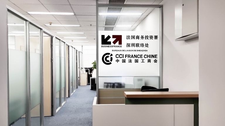COMMITTEES | CCI France Chine