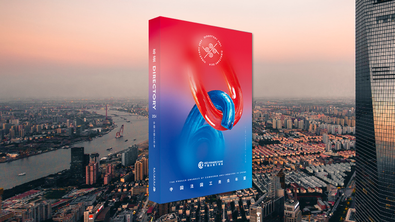 COMMITTEES | CCI France Chine